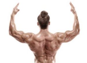 Best Lat Exercises for Men | Build Your Lats at Home With & No Equipment