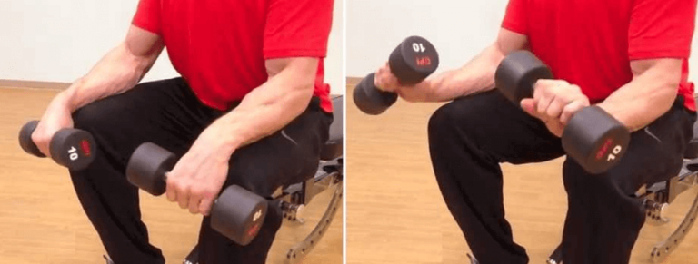 8 Forearm Exercises for Men to Maximize Strength